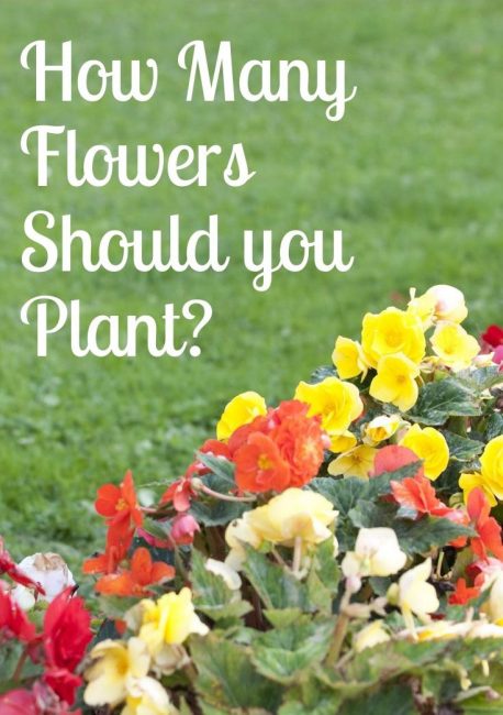 Plant and Flower Calculator - Estimate How Many Plants You Need - Inch ...