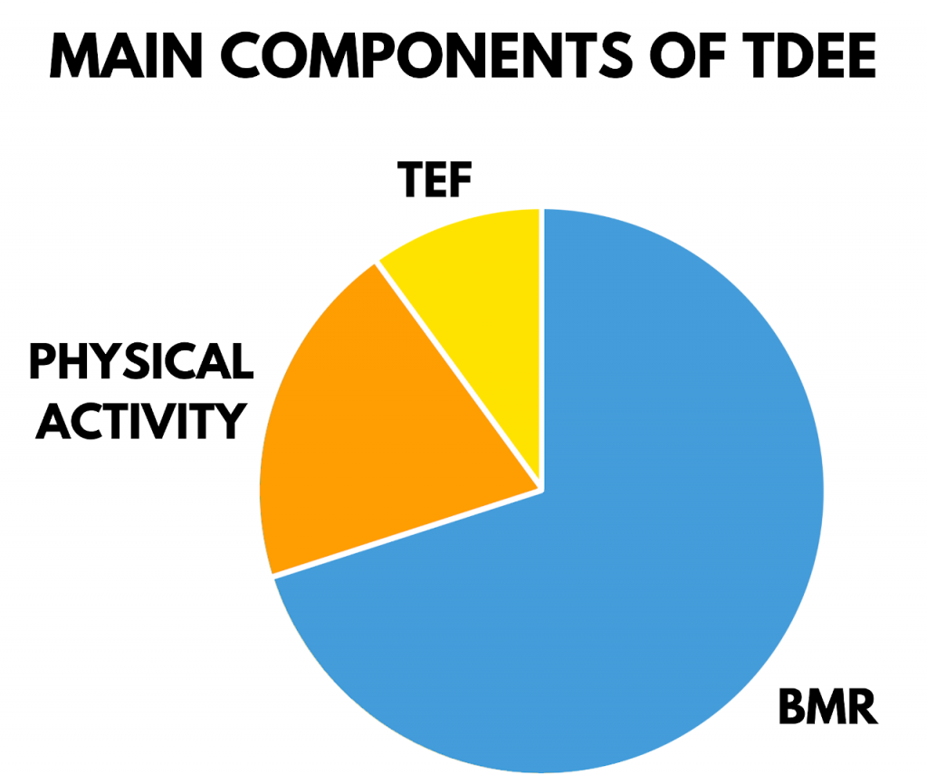 TDEE Calculator - Total Daily Energy Expenditure - Inch Calculator
